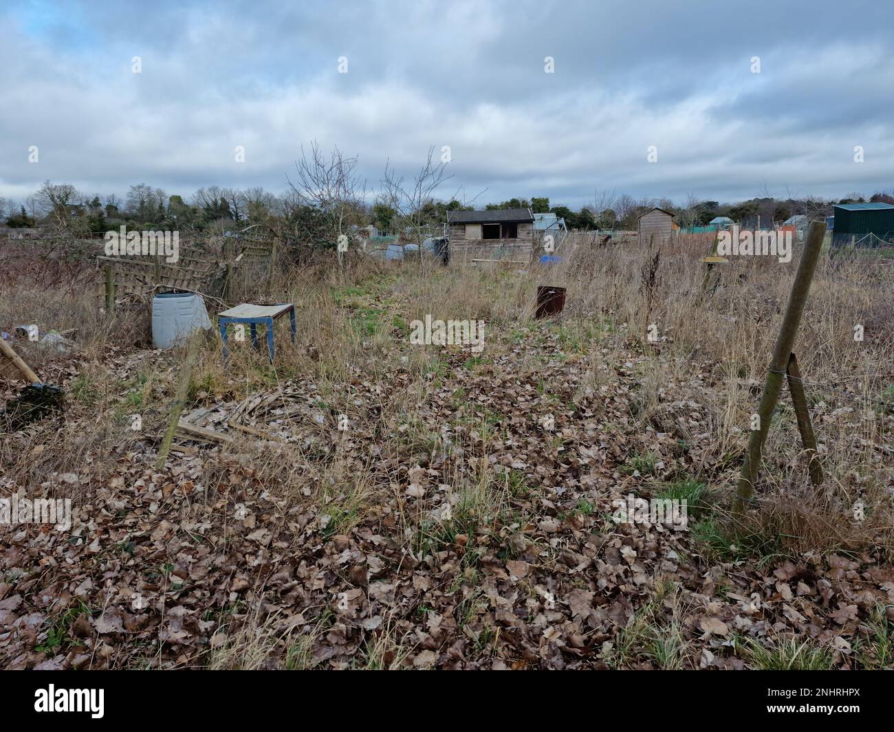 Overgrown farm plot hi-res stock photography and images - Alamy