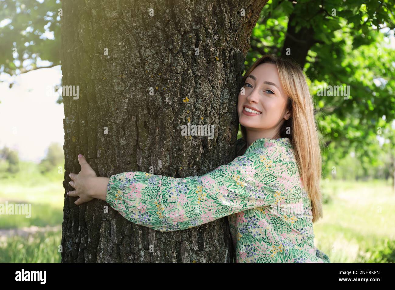 Beautiful young woman hugging tree trunk in forest Stock Photo - Alamy