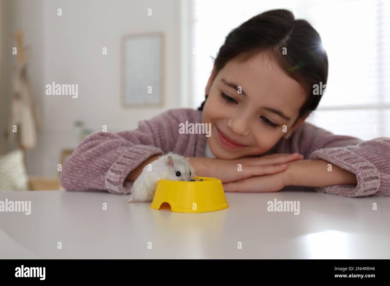 Little girl with cute hamster at table indoors Stock Photo - Alamy