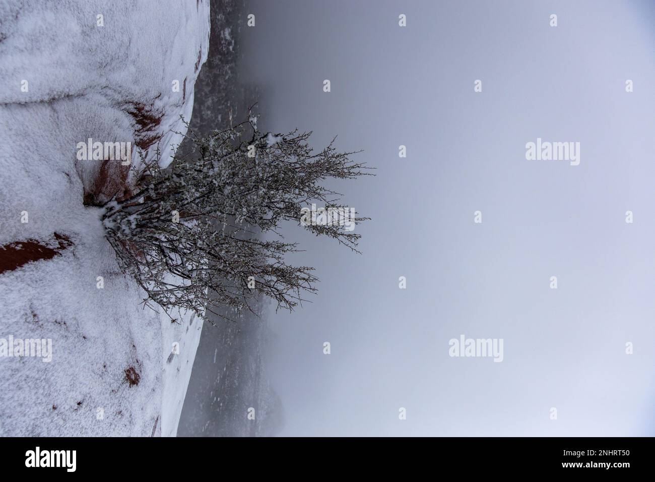 Snow in Sedona Stock Photo - Alamy