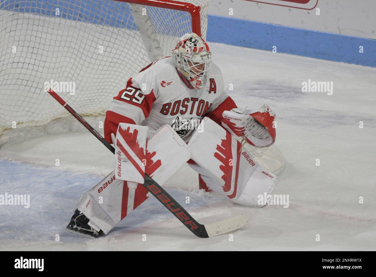 BOSTON, MA - NOVEMBER 23: Boston University Terriers goaltender Drew ...