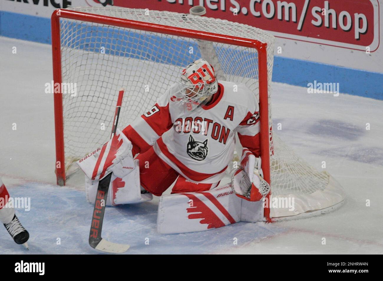 BOSTON, MA - NOVEMBER 23: Boston University Terriers goaltender Drew ...