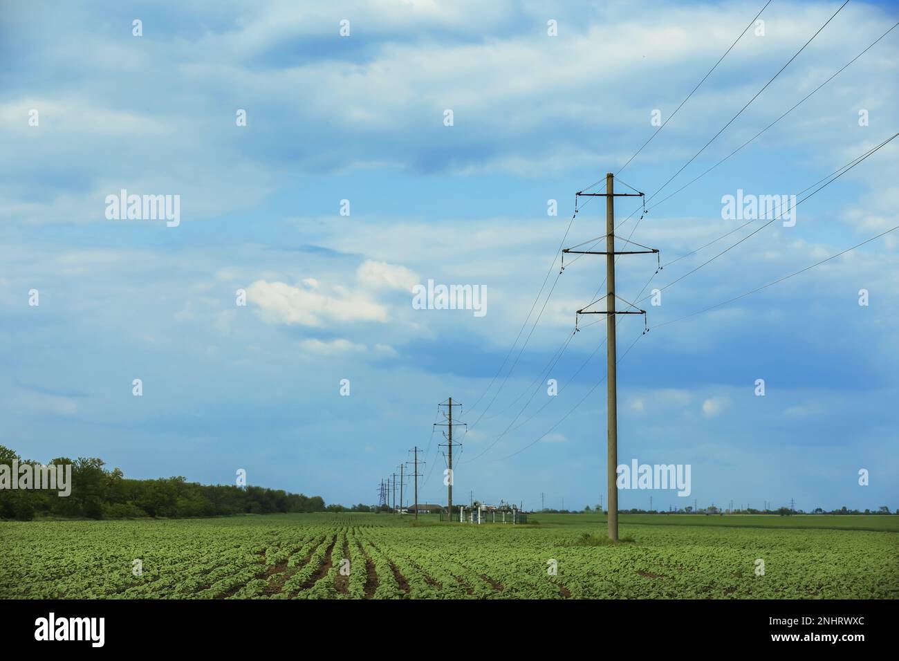 Telephone poles green field sky cable hi-res stock photography and ...