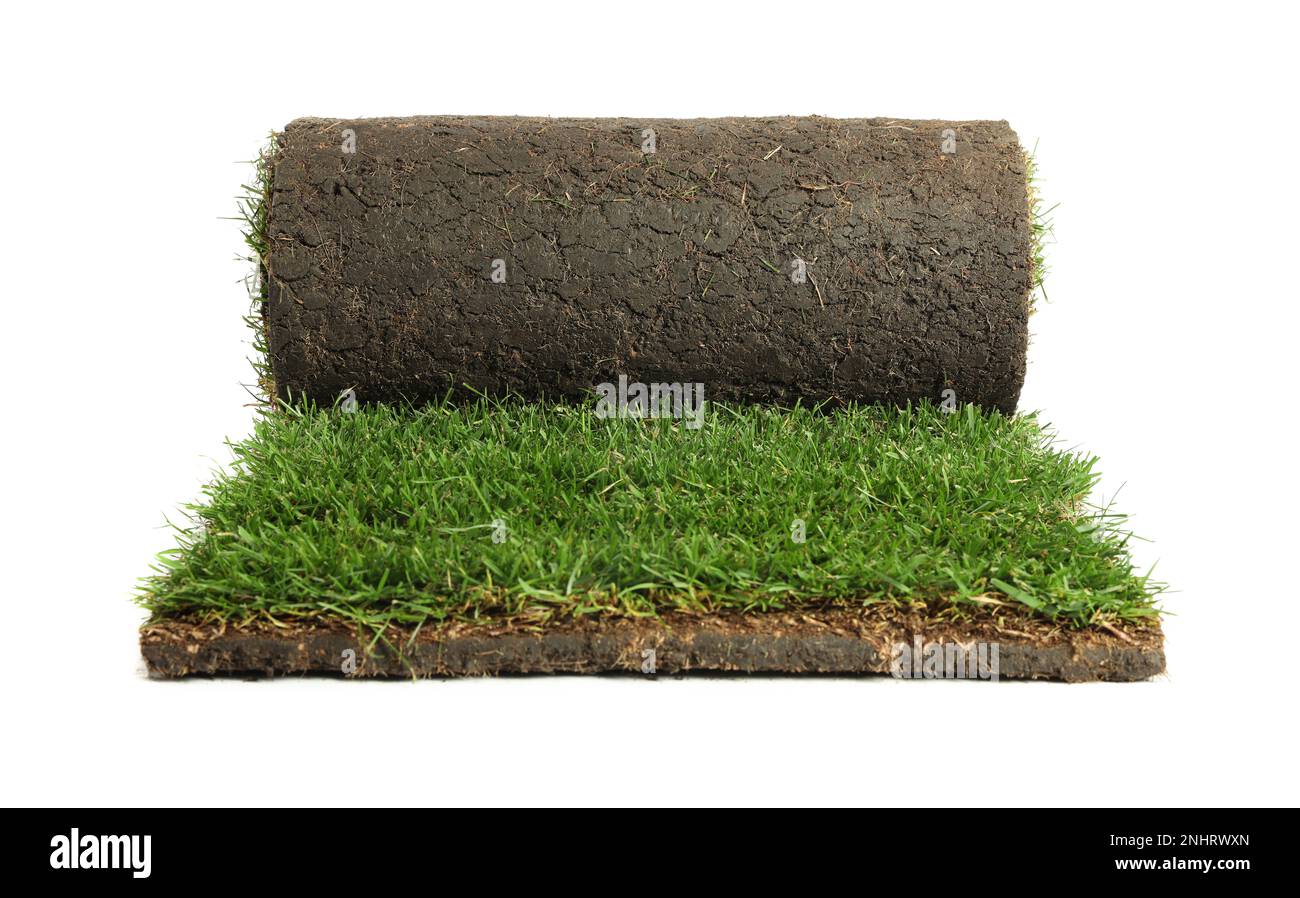 Rolled sod with grass on white background Stock Photo - Alamy