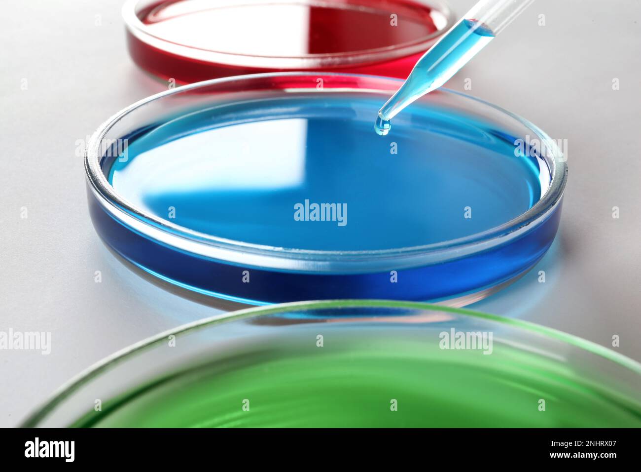 Dripping light blue liquid into Petri dish on white background, closeup ...