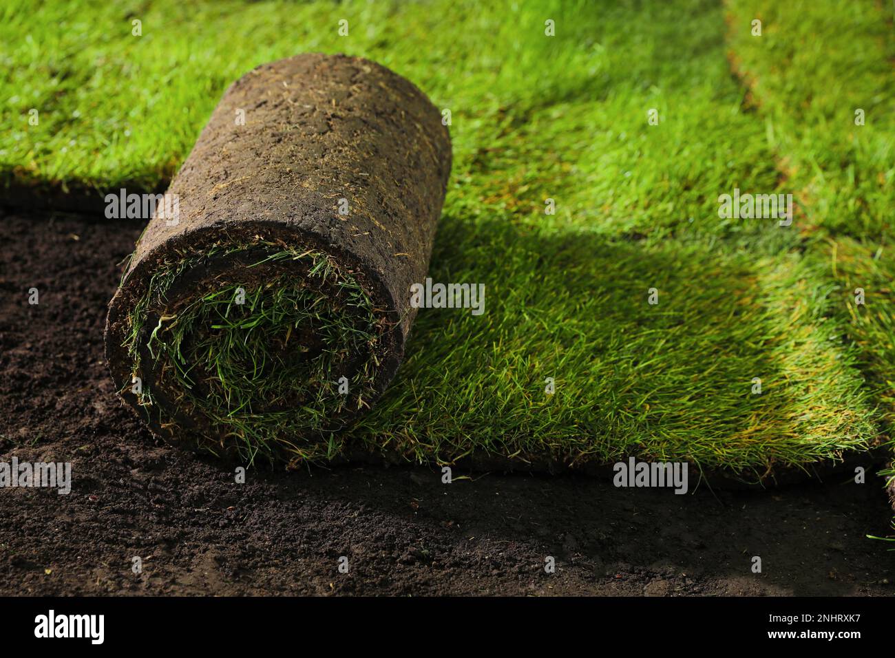 Laying grass sods at backyard. Home landscaping Stock Photo - Alamy