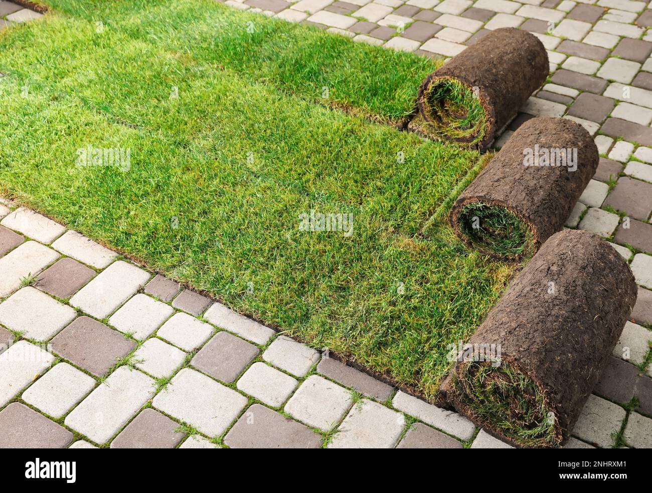 Many grass sods on pavement in backyard Stock Photo - Alamy