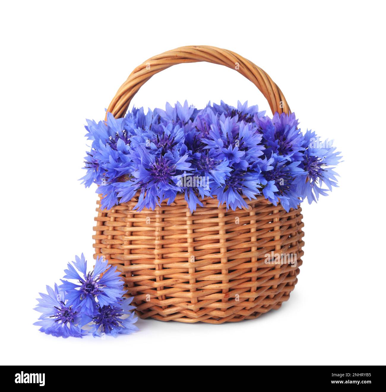 Bunch of beautiful cornflowers in basket on white background Stock ...