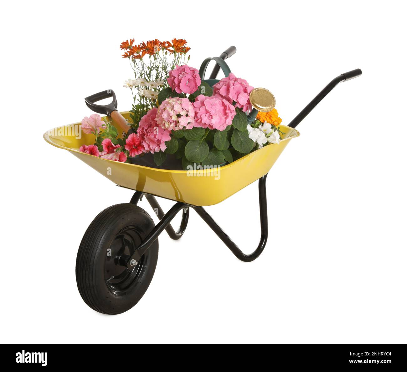 Yellow wheelbarrow with different flowers and gardening tools isolated ...