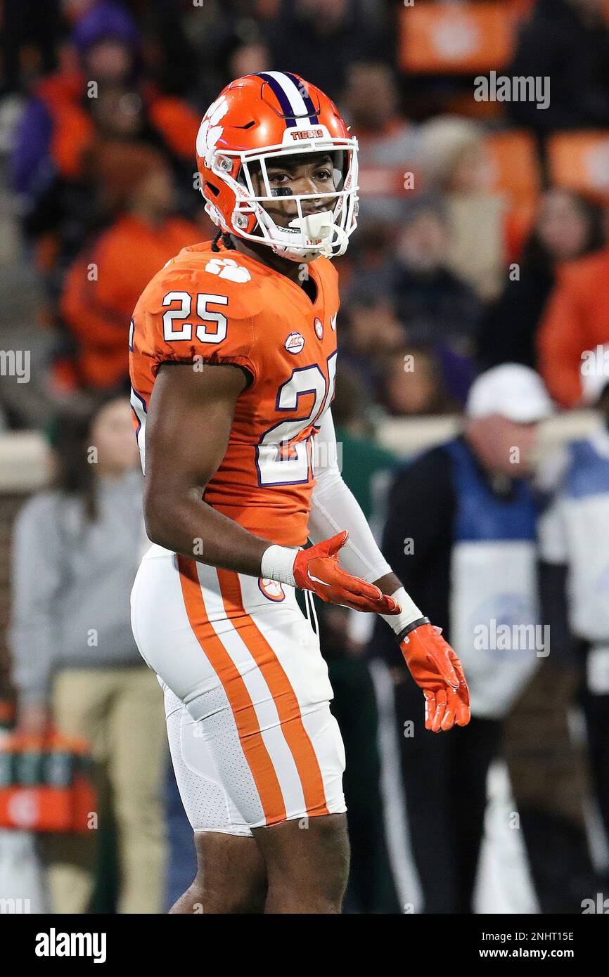 CLEMSON, SC - NOVEMBER 19: Clemson Tigers safety Jalyn Phillips (25 ...