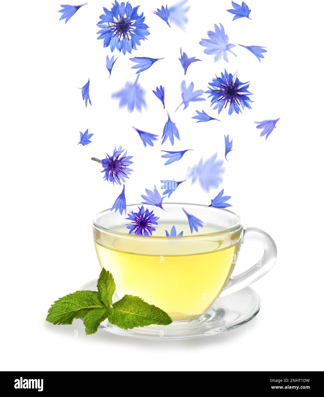 Beautiful tender blue cornflower petals falling into cup of tea on ...