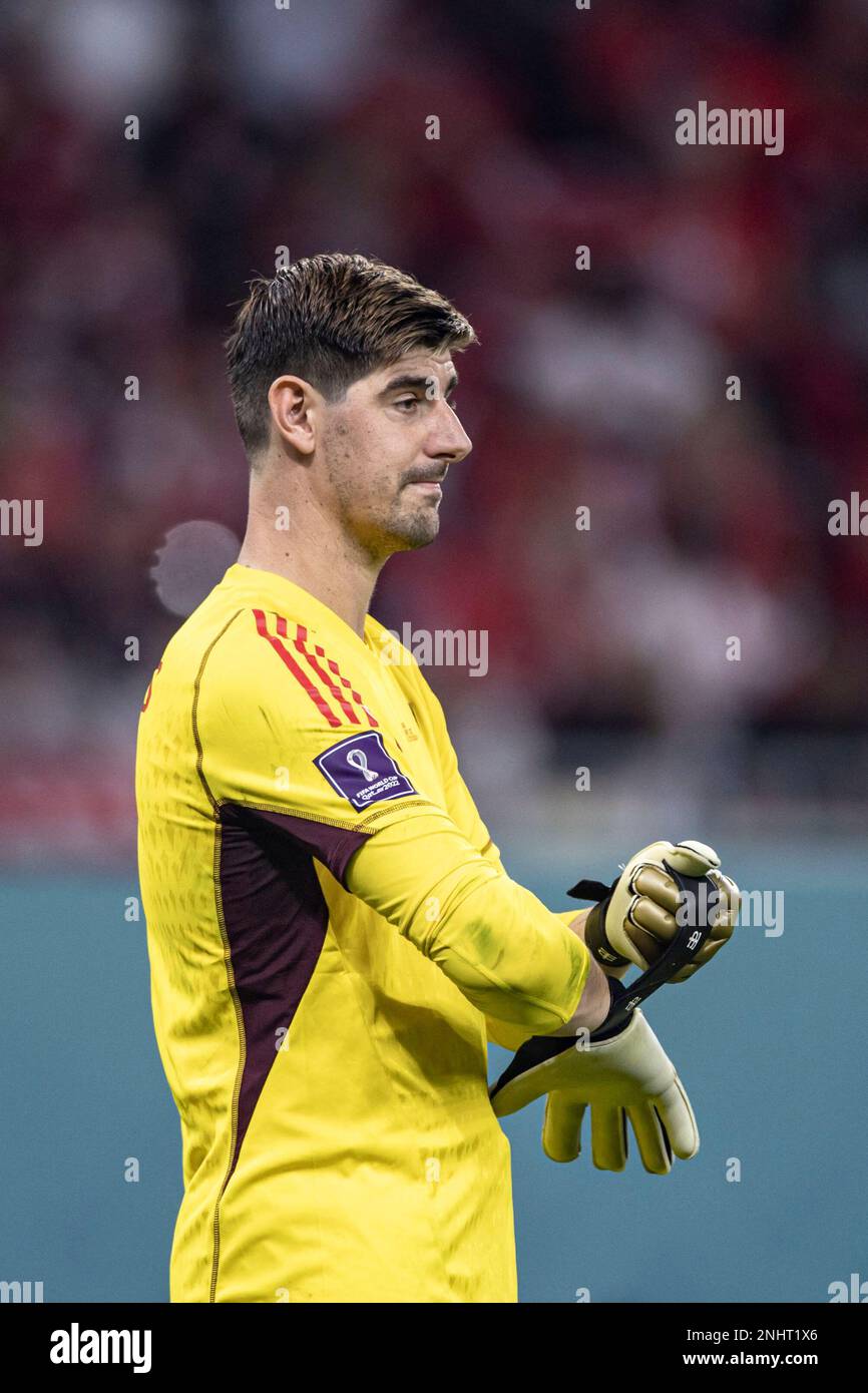 Qatar - Al-Rayyan - 11/23/2022 - WORLD CUP 2022, BELGIUM X CANADA ...