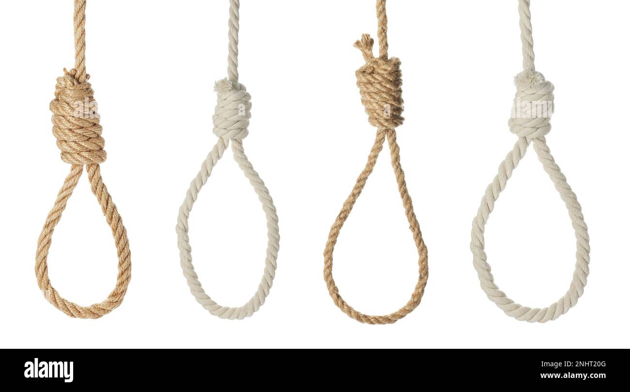 Rope nooses with knots on white background, collage Stock Photo - Alamy
