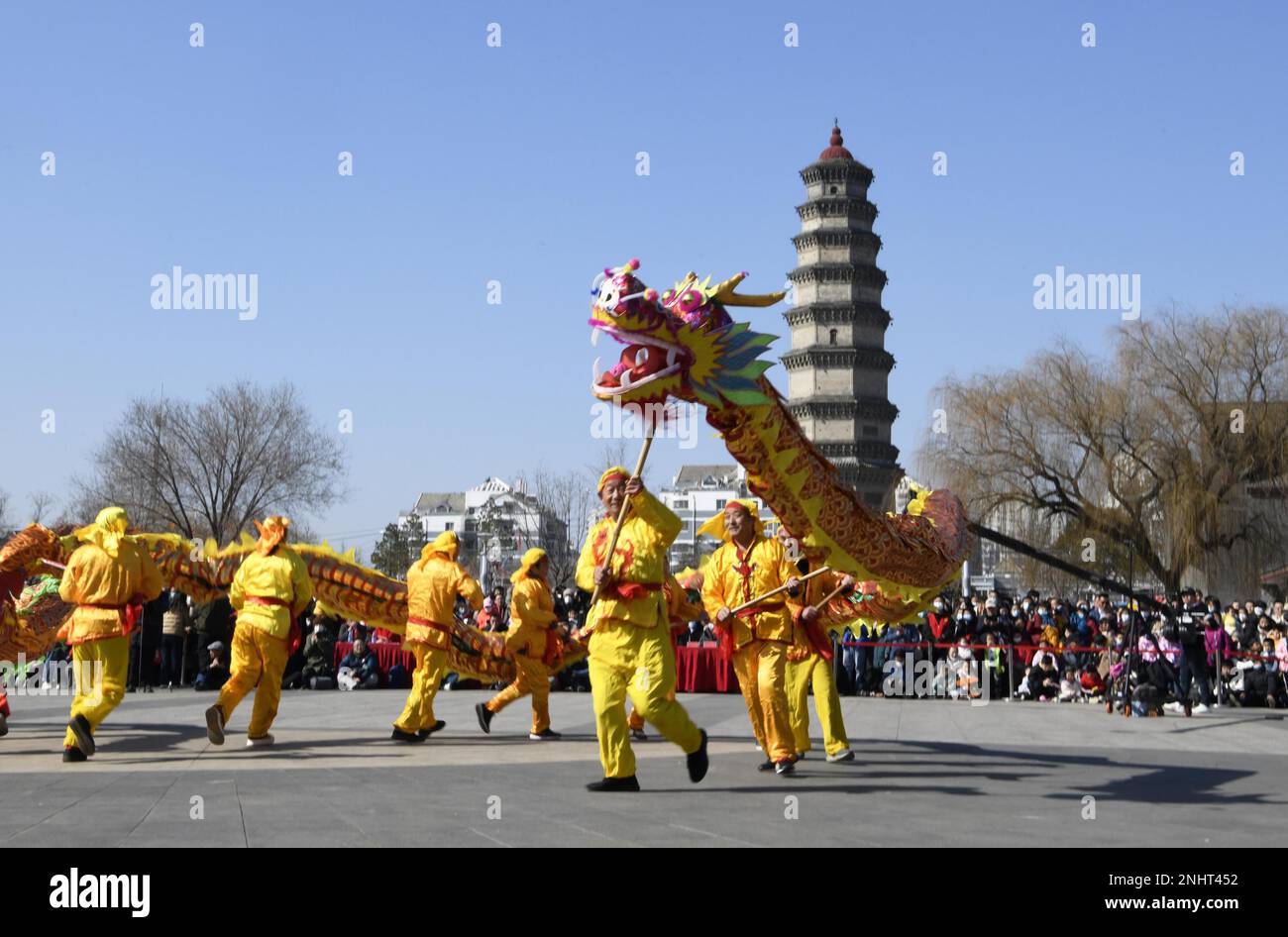 A dragon and lion dance championship was held to celebrate the Chinese ...