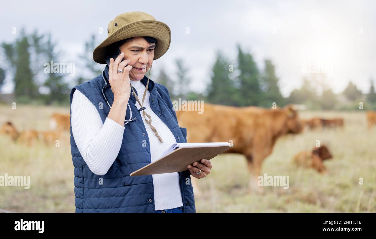 Farm, veterinary and woman on a phone call with clipboard for ...