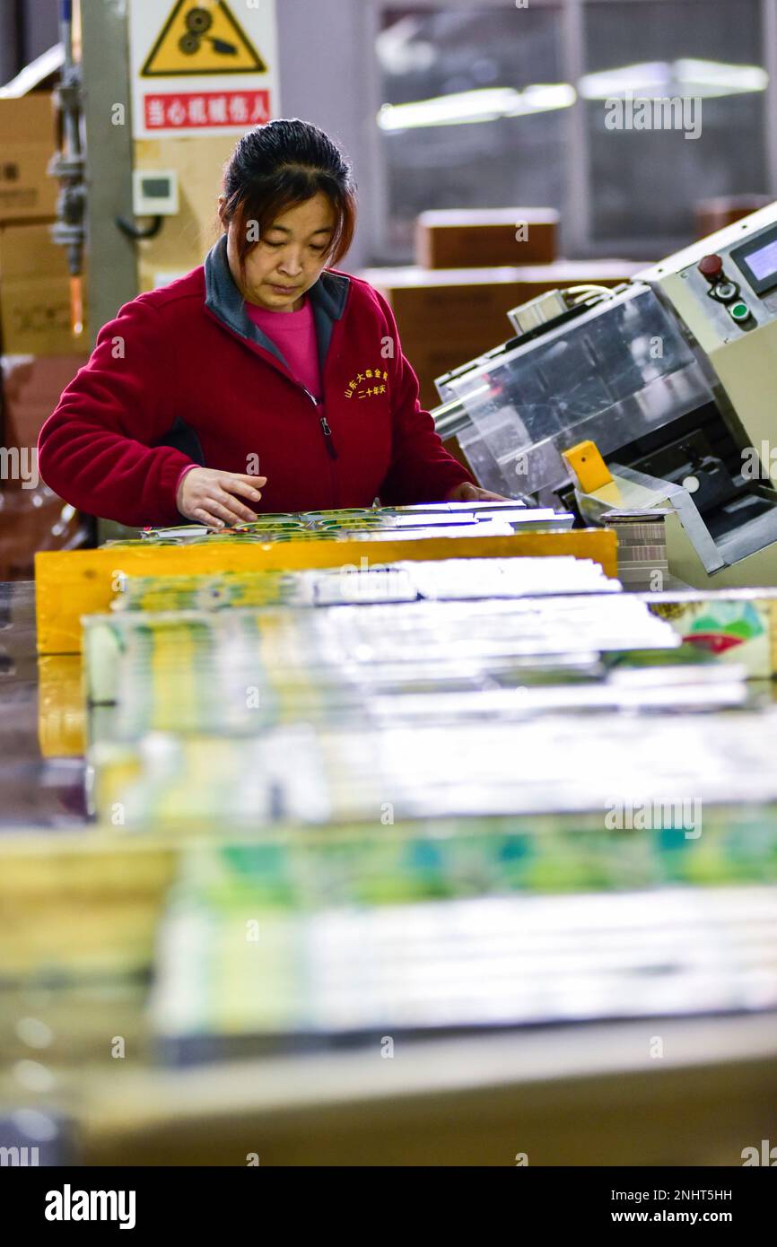 QINGZHOU, CHINA - FEBRUARY 22, 2023 - A worker works on the production ...