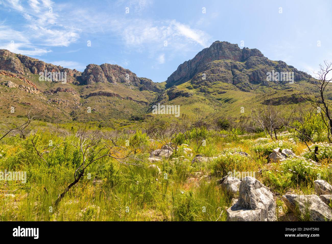Some Mountains near Piketberg in the Western Cape of South Africa Stock ...