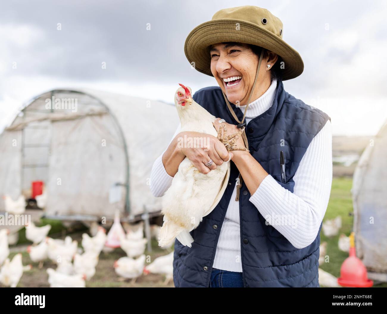 Happy farmer, woman and chicken for agriculture in field, environment and countryside. Poultry ...