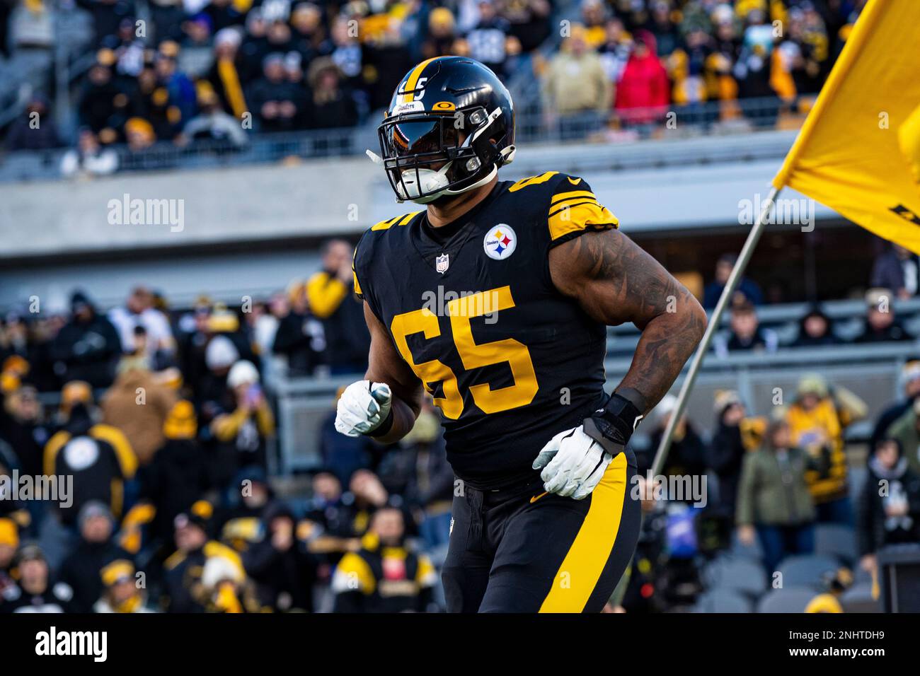 PITTSBURGH, PA - NOVEMBER 20: Pittsburgh Steelers offensive tackle Dan ...