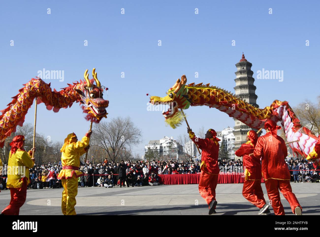 A dragon and lion dance championship was held to celebrate the Chinese ...