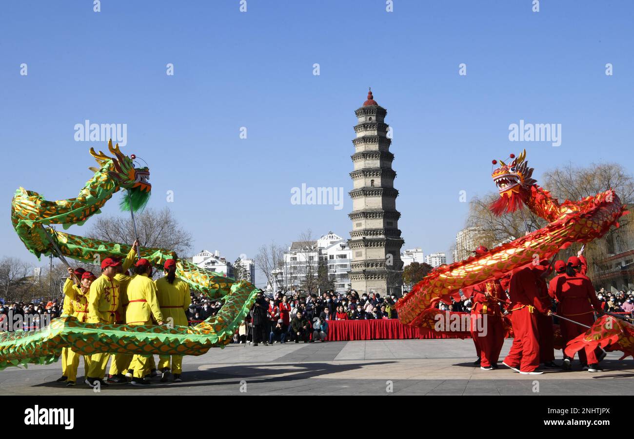 A dragon and lion dance championship was held to celebrate the Chinese ...