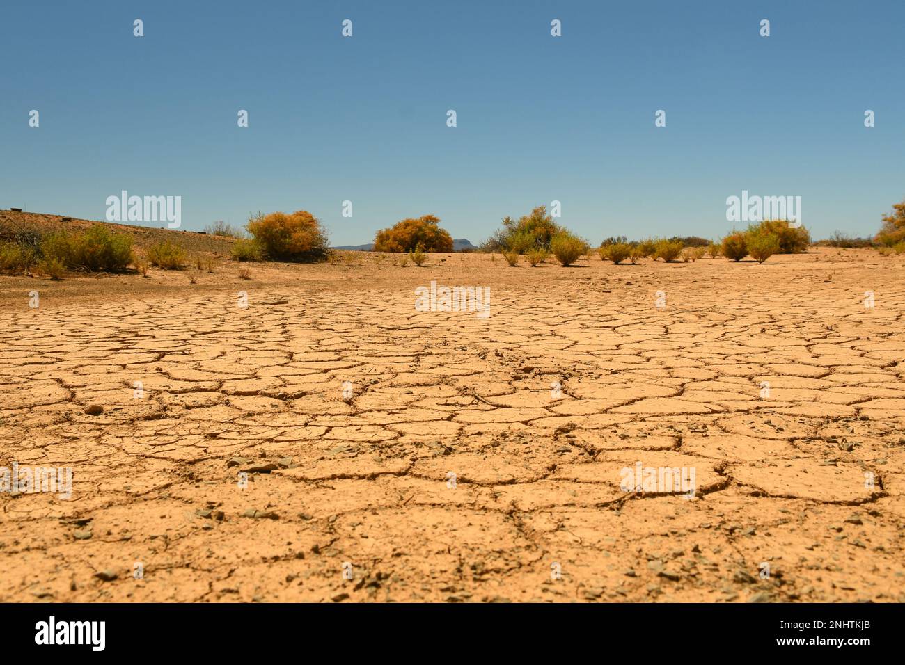 A dry area next to a gravel road in the Karoo towards Sutherland, South ...