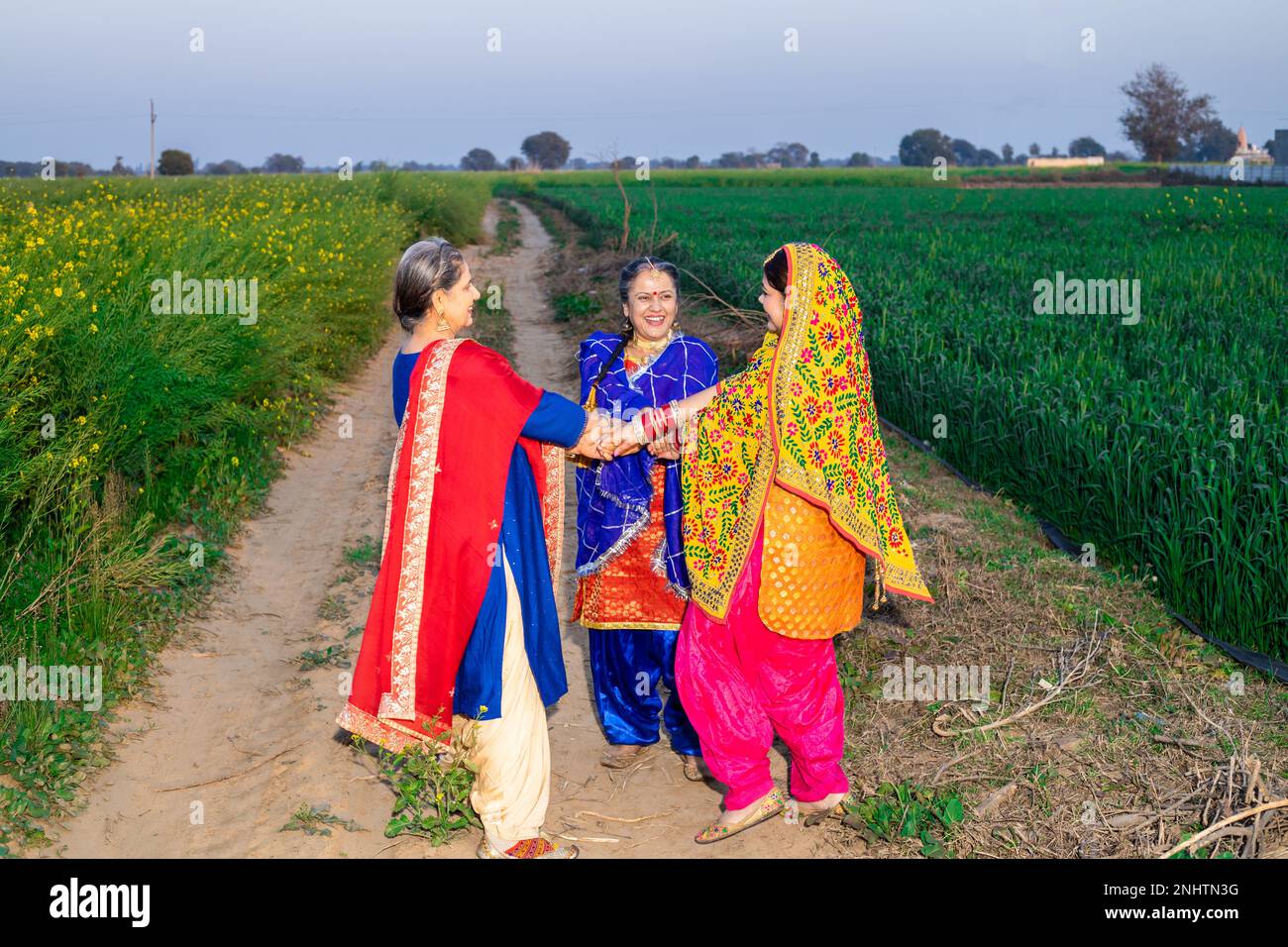 Group of Punjabi women wearing colorful traditional dress dancing ...