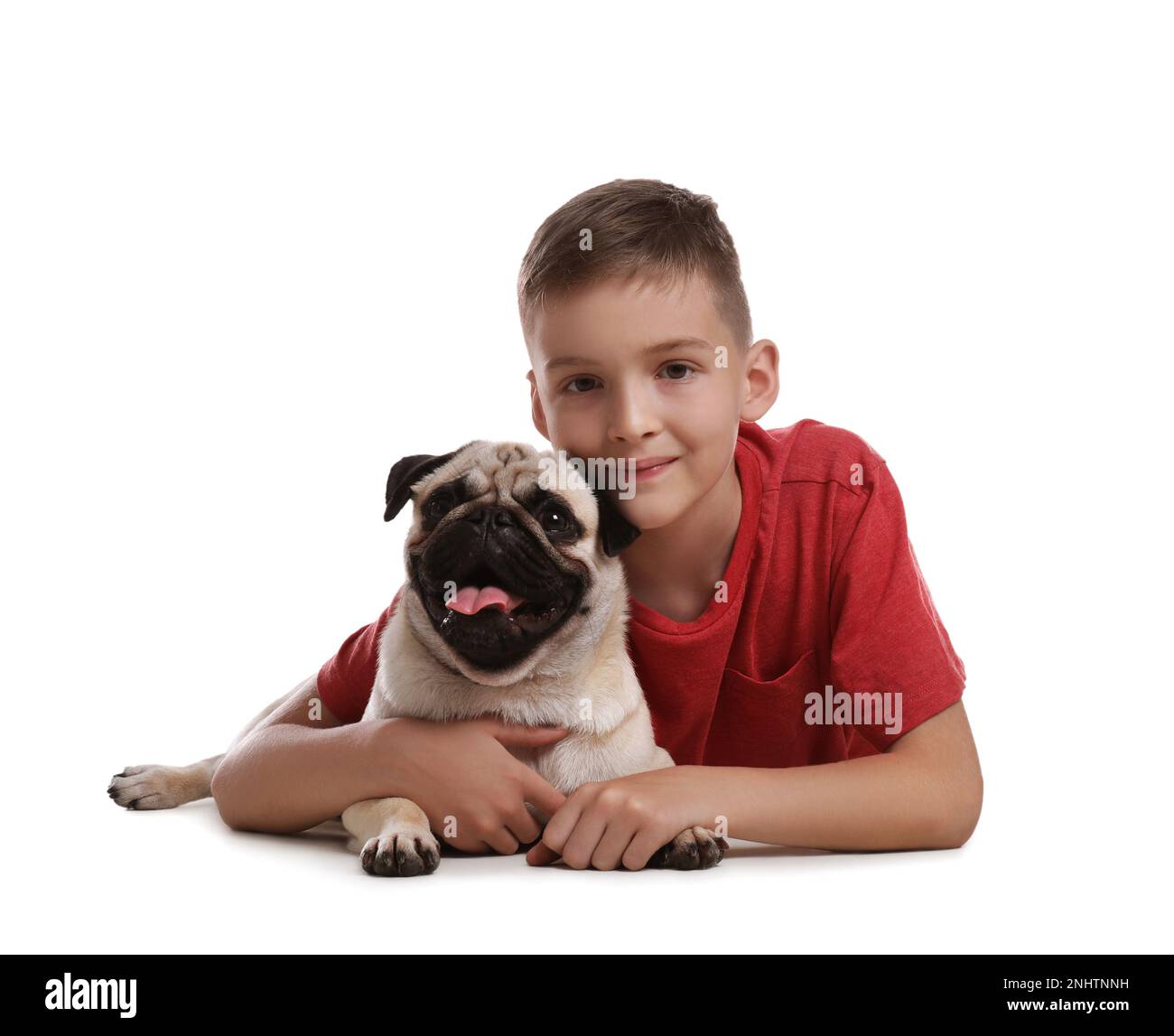 Boy with his cute pug on white background Stock Photo - Alamy
