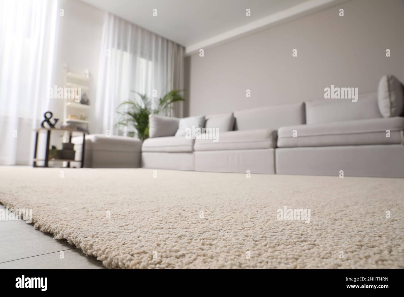 Living room interior with stylish furniture, focus on soft carpet Stock ...