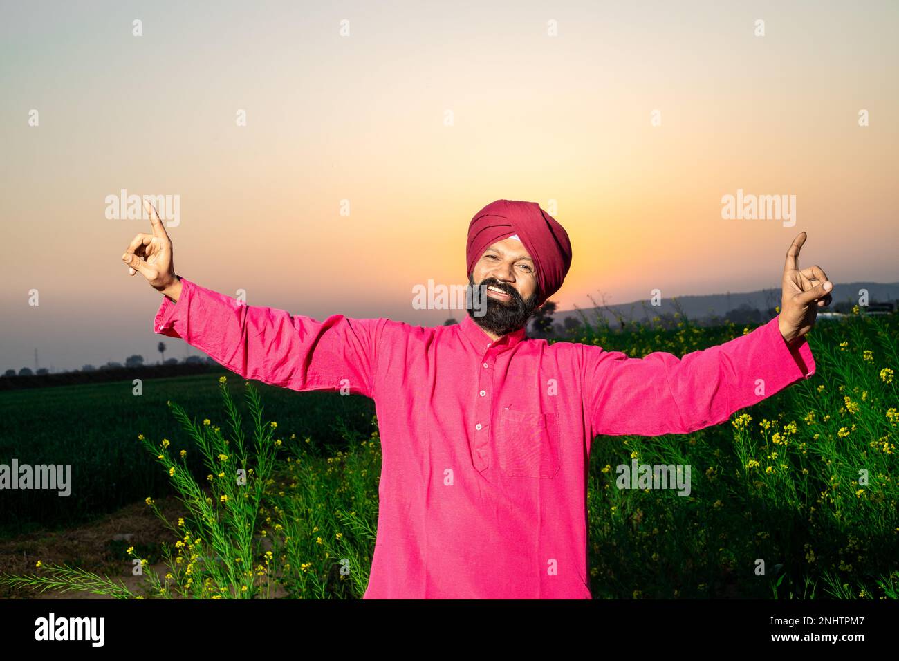 Punjabi sikh man doing bhangra dance in agriculture field celebrating ...