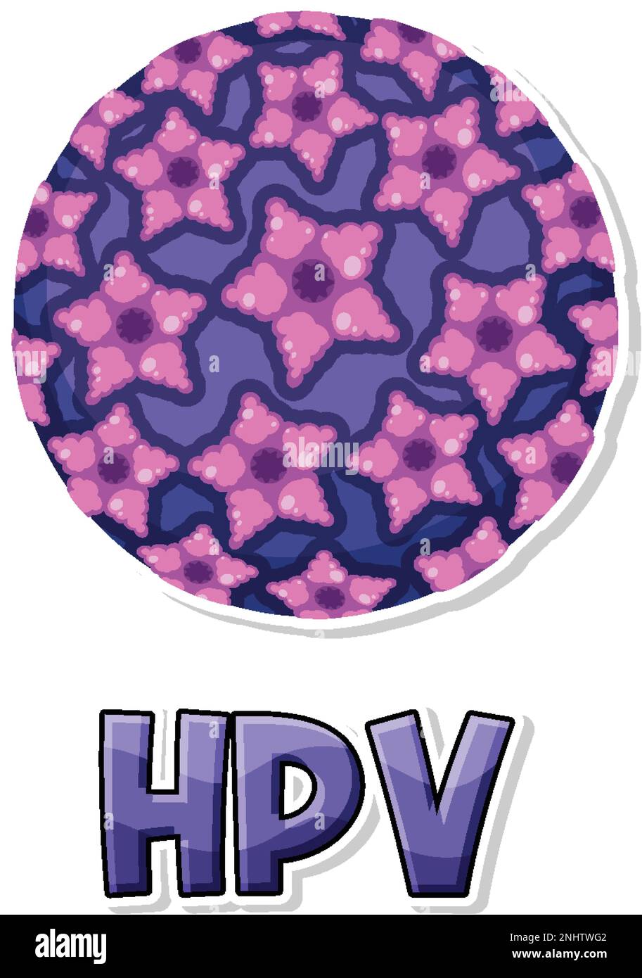 Human papillomavirus (HPV) on white background illustration Stock ...
