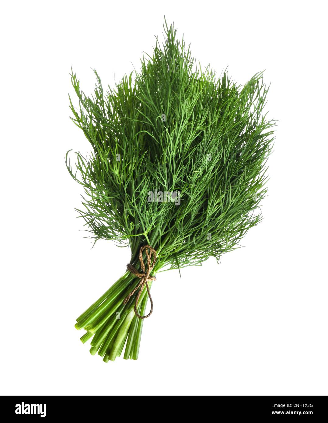 Bunch of fresh dill isolated on white Stock Photo - Alamy
