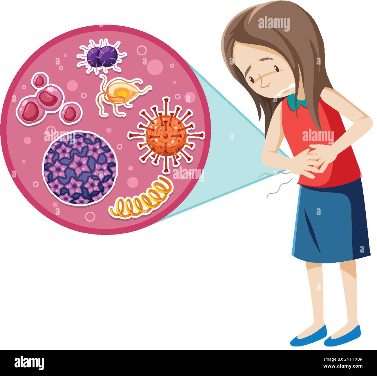 Woman healthy stomach on Stock Vector Images - Alamy