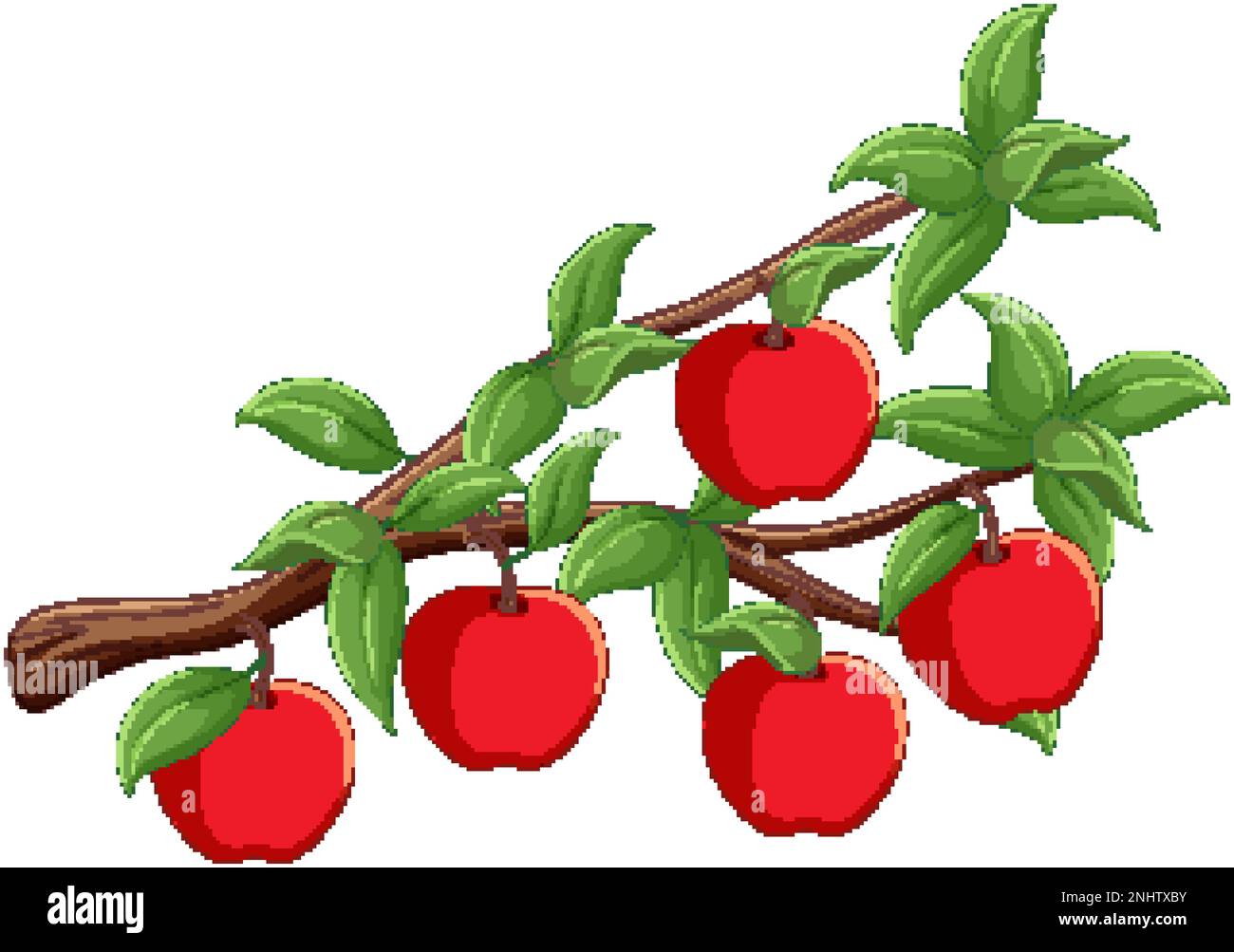 Apple tree leaves and branches Stock Vector Images - Alamy