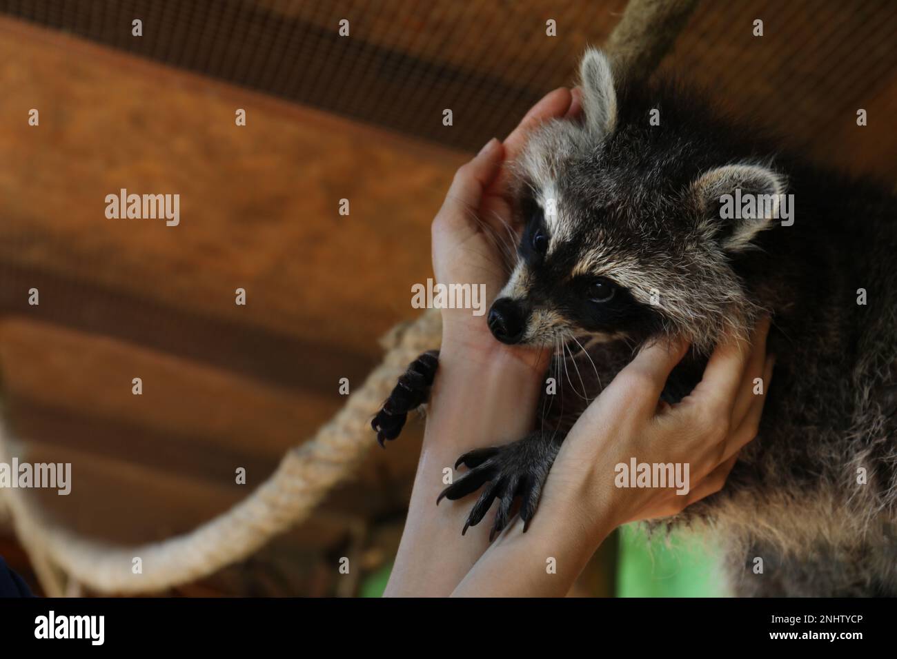 Mature woman zoo hi-res stock photography and images - Alamy