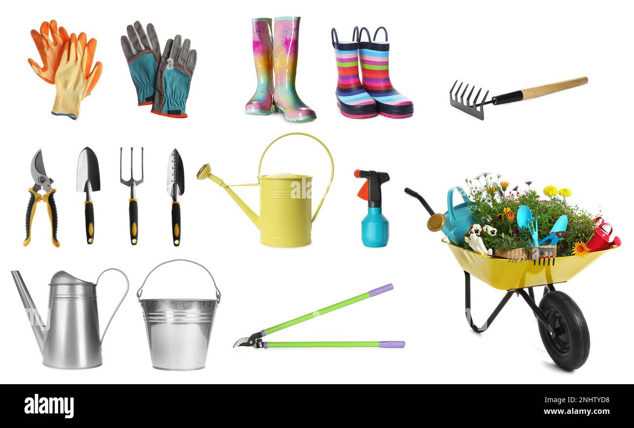 Set with different gardening tools on white background Stock Photo - Alamy