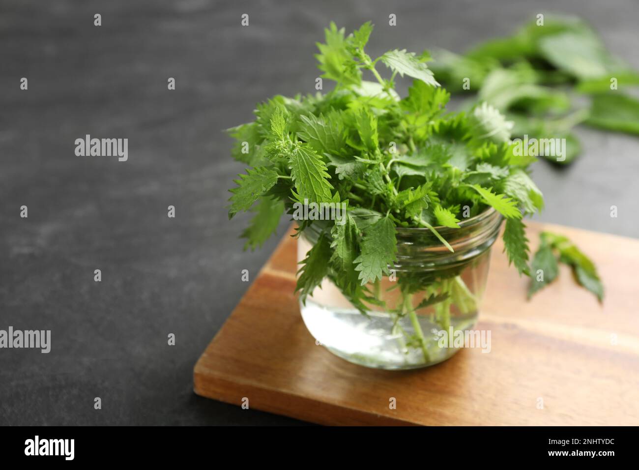 Stinging nettles in closeup hi-res stock photography and images - Alamy