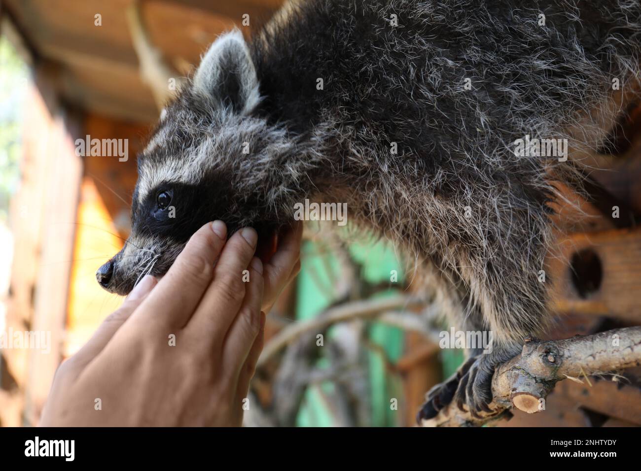 Mature woman zoo hi-res stock photography and images - Alamy