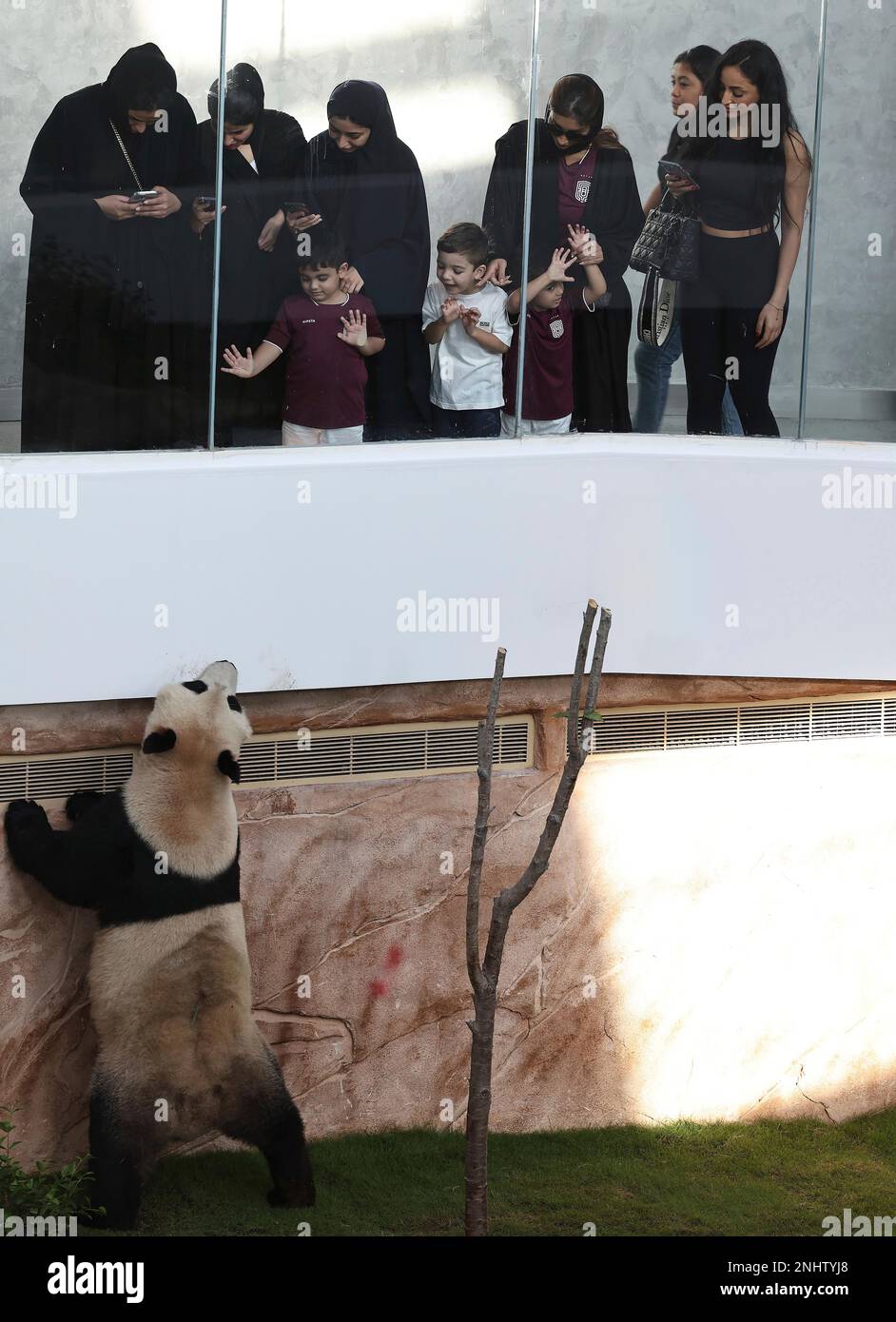 Giant panda Jing Jing is seen at the Panda House at Al Khor Park in ...