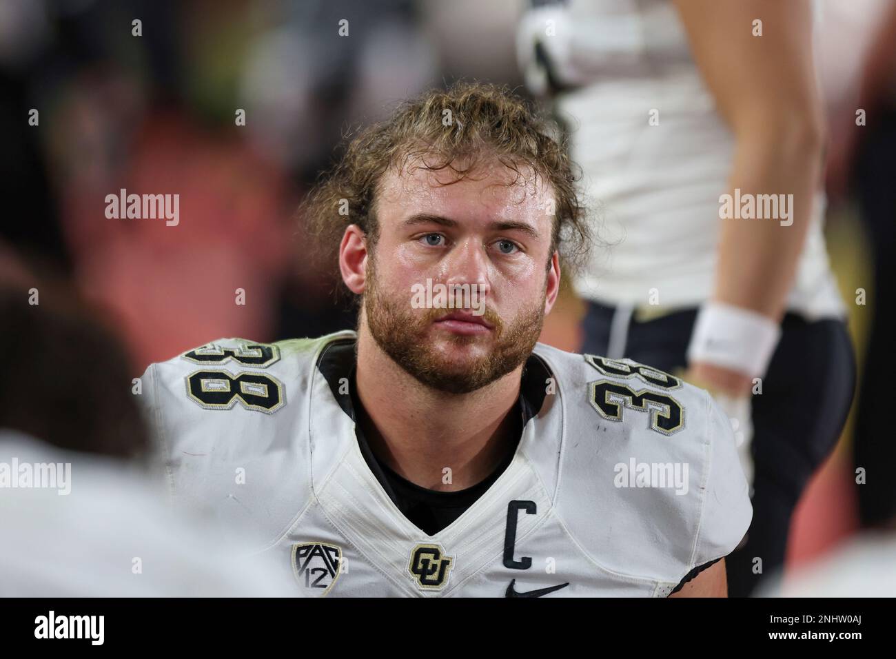 LOS ANGELES, CA - NOVEMBER 11: Colorado Buffaloes tight end Brady ...