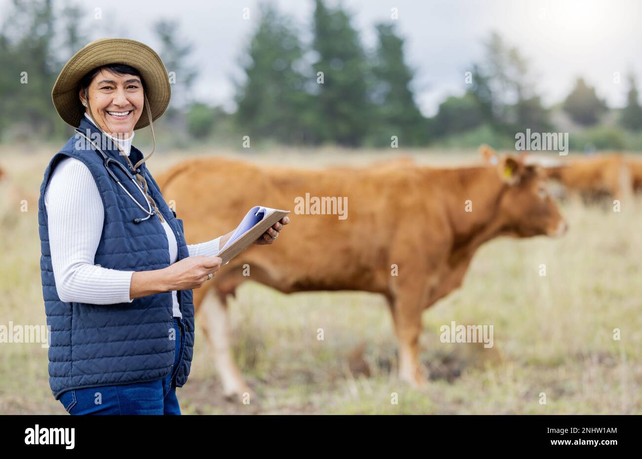 Farm, cow veterinary and portrait of woman with clipboard for ...