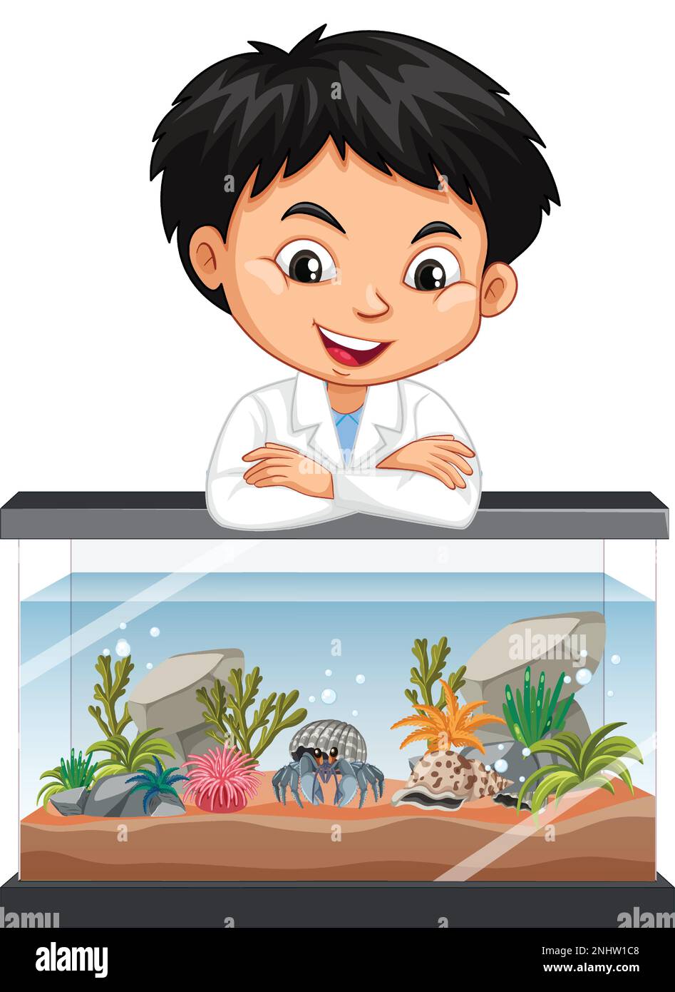 A boy observes an aquarium fish tank illustration Stock Vector Image ...