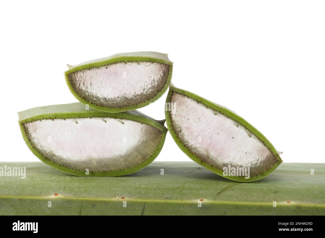 Aloe vera leaf slices showing the inside gel of the plant isolated on ...