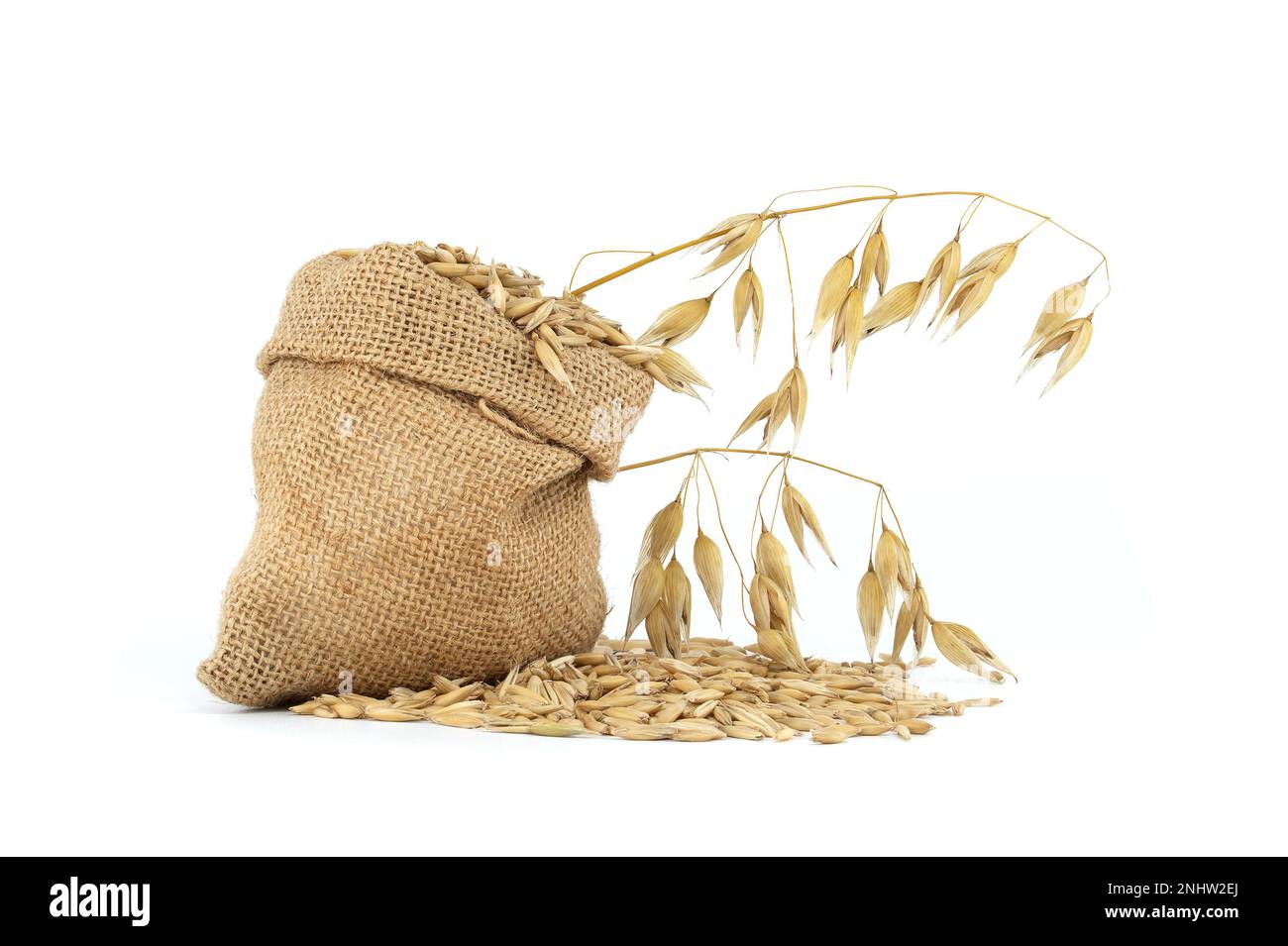 Oat grains with hulls or husks in burlap bag isolated on a white ...