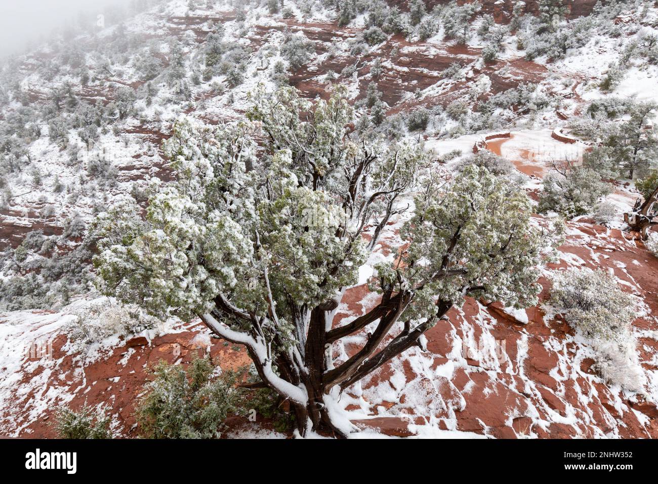 Snow in Sedona Stock Photo - Alamy