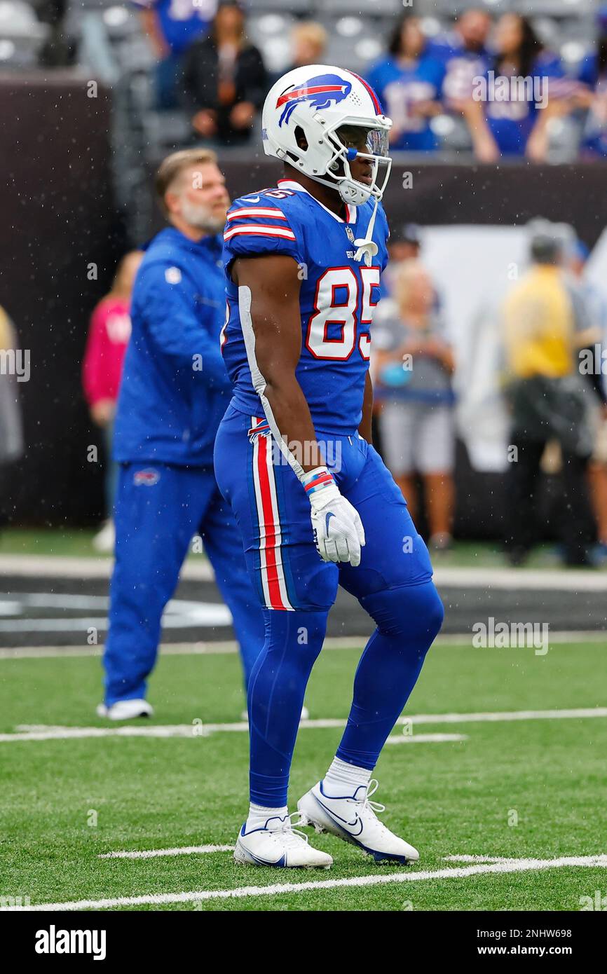 EAST RUTHERFORD, NJ - NOVEMBER 06: Buffalo Bills tight end Quintin ...