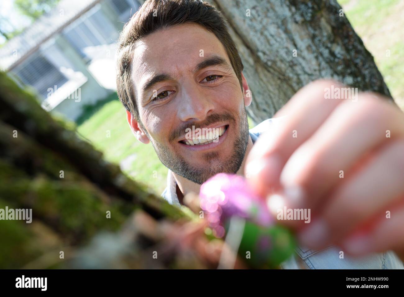 portrait of a man reaching into tree Stock Photo - Alamy