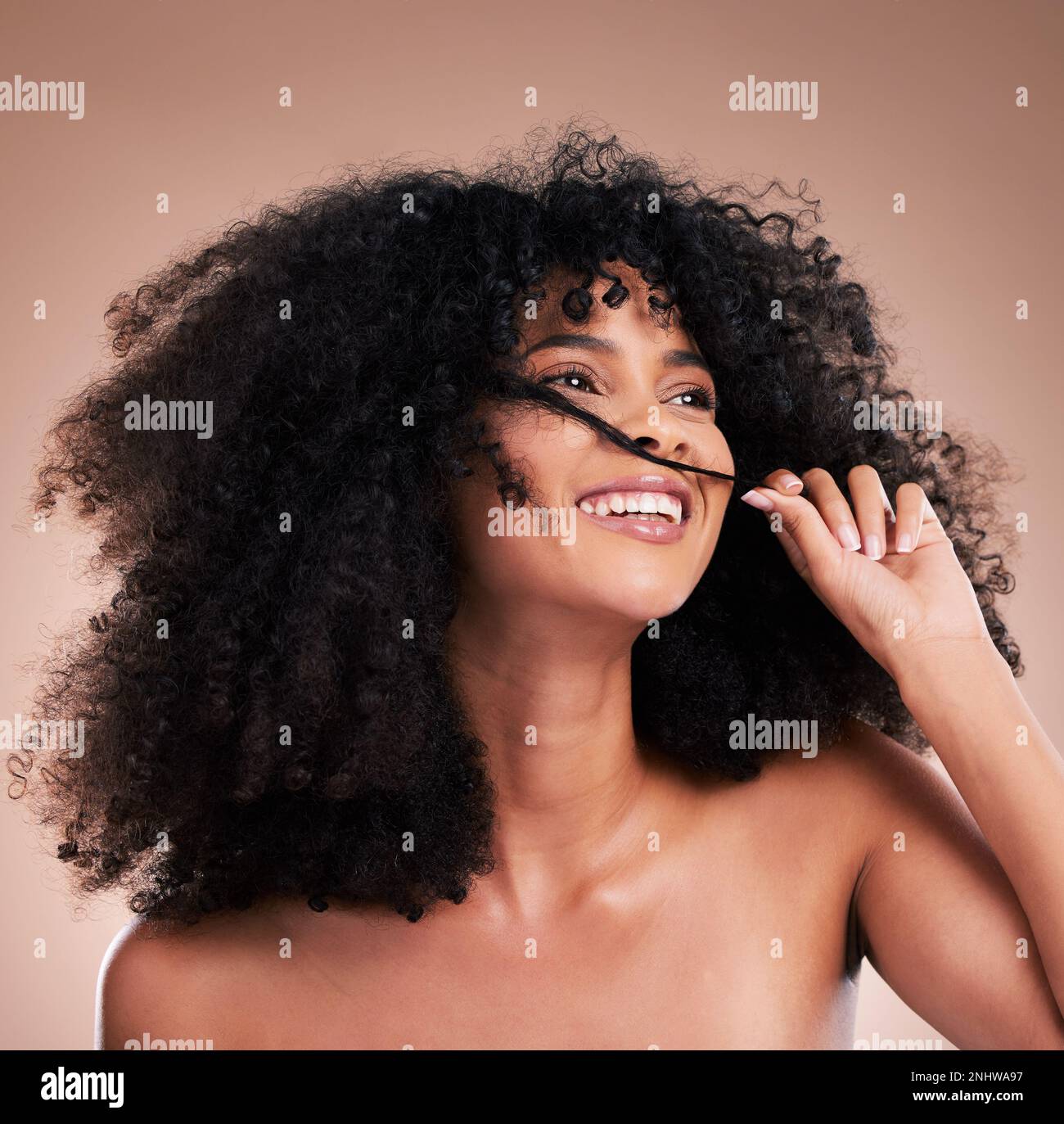 Afro, beauty and face of black woman with hair in hands on brown ...