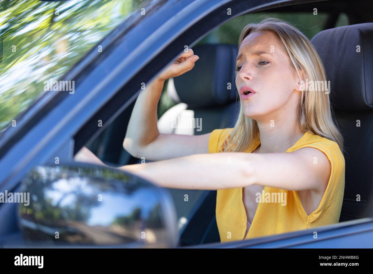 Angry honking hi-res stock photography and images - Alamy