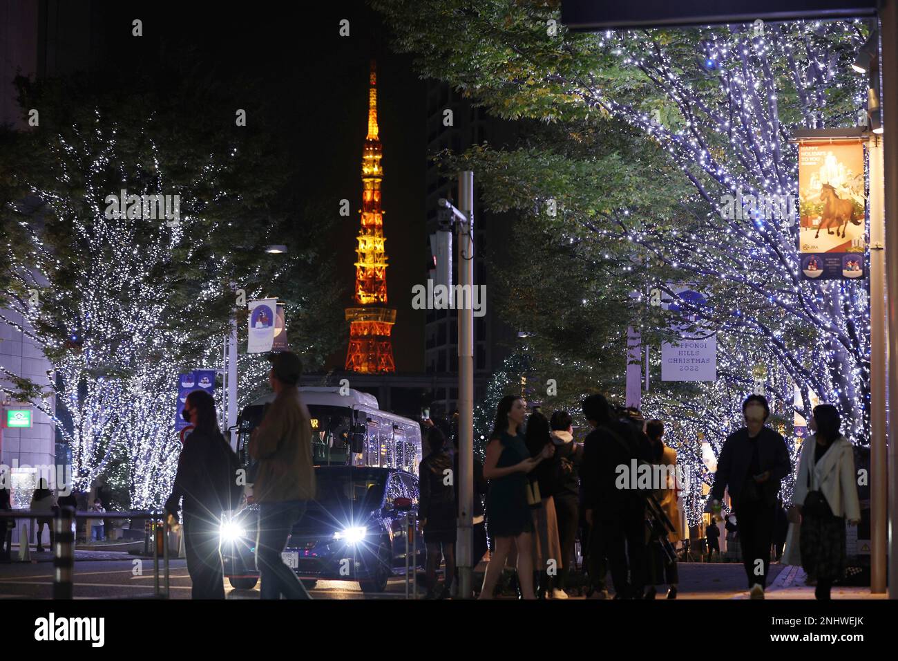 Trees are illuminated at Keyakizaka Slope in Minato ward, Tokyo on Nov ...